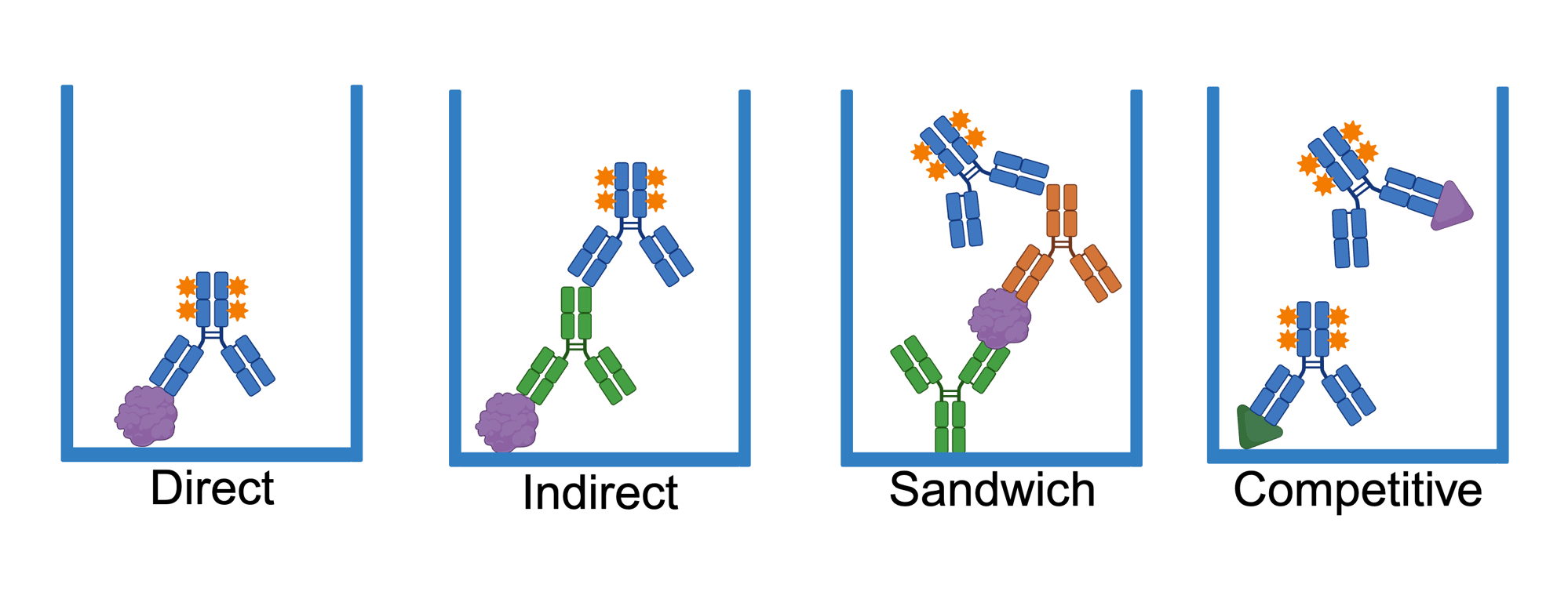 Antibodies 101: The Four ELISAs and When to Use Them
